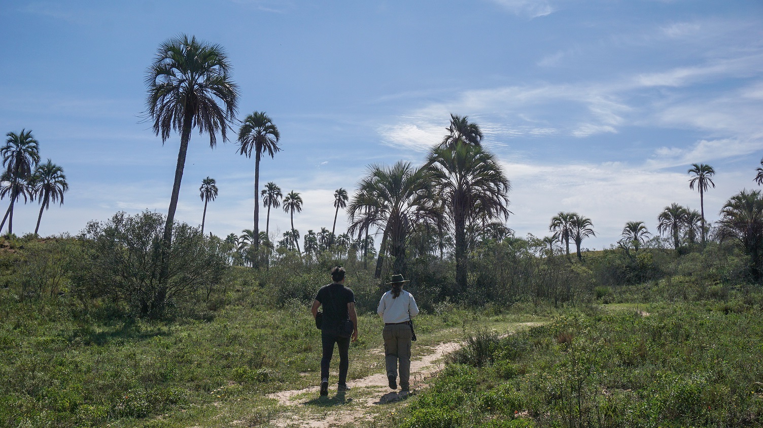Senderos para descubrir El Palmar | De Viaje Voy