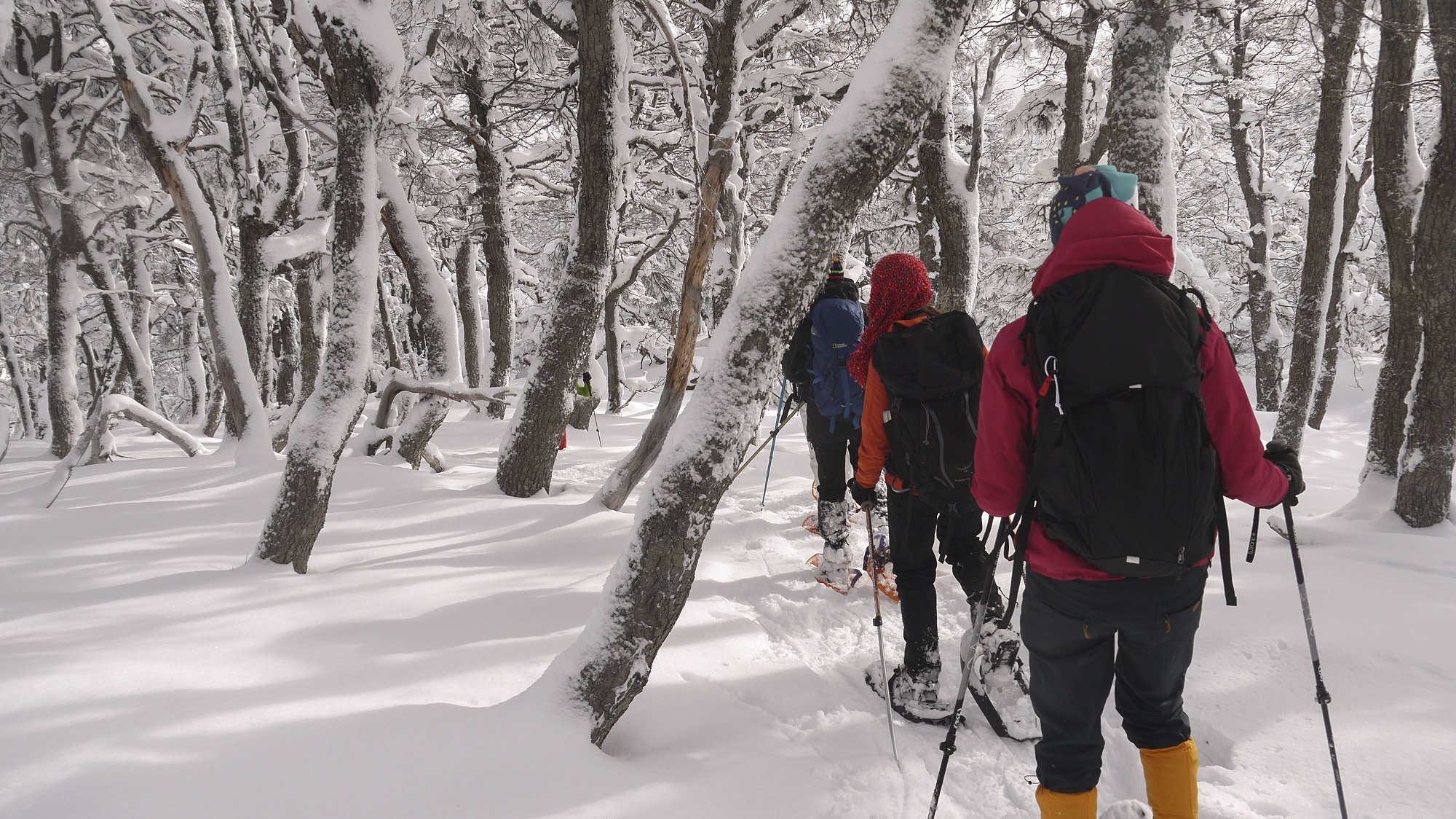 Un parque de nieve con identidad y cultura ancestral | De Viaje Voy